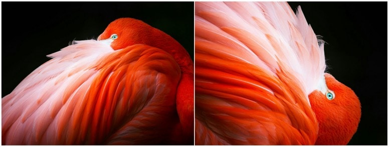 Download Apple Pro Display XDR Wallpapers In 4K Resolution