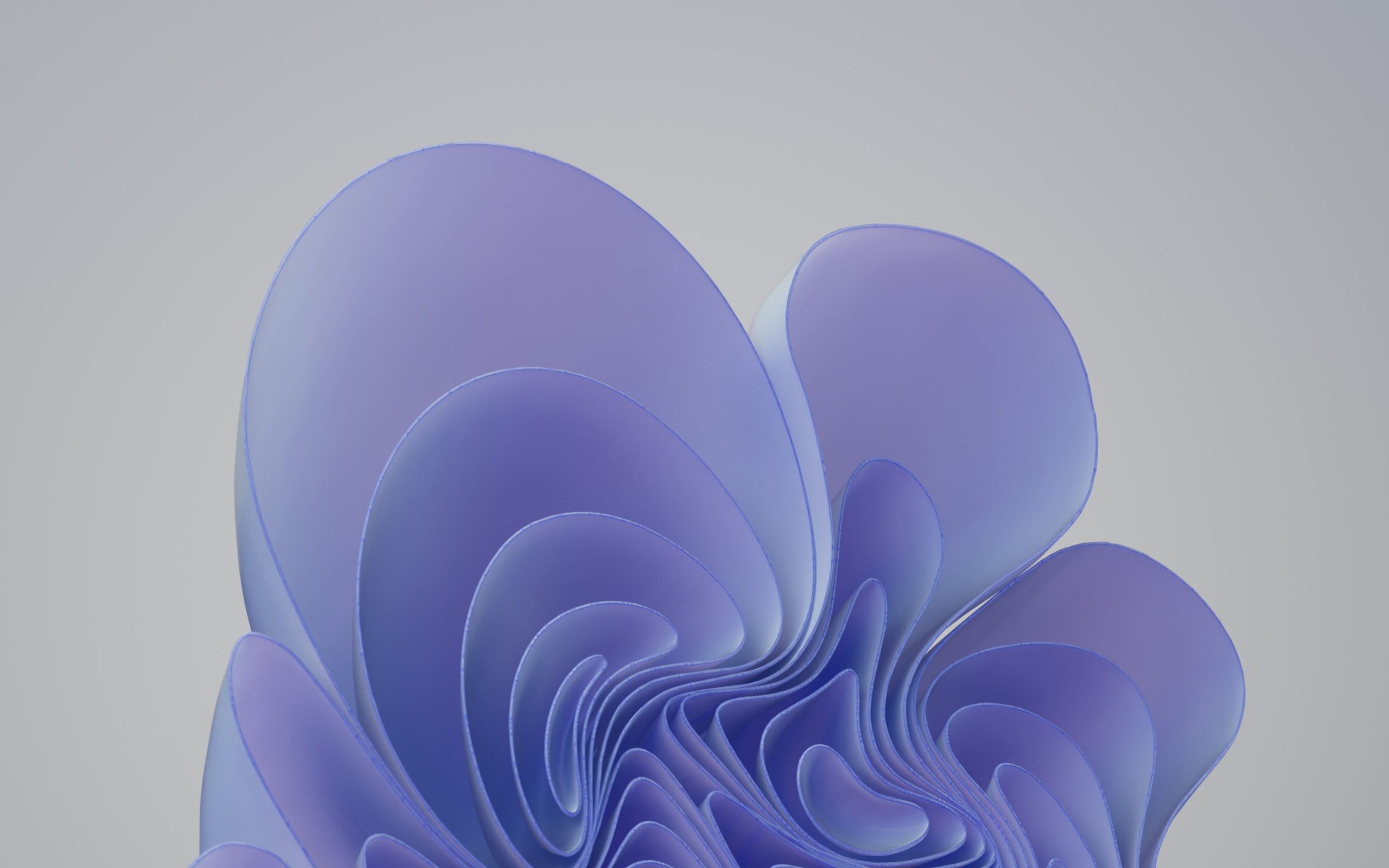 Windows 11 Stock Wallpapers Full Collection (Pantone Color Update)