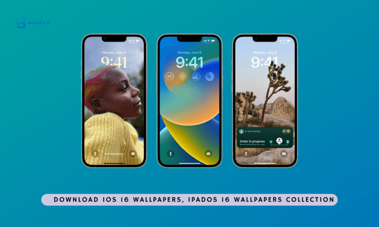 Download iOS 16 Wallpapers, iPadOS 16 Wallpapers Collection